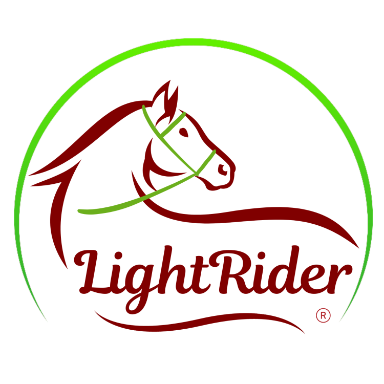 LightRider - Aria Desert Rain